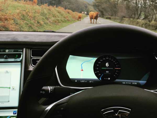 Tesla & Electric Cars